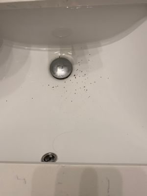 BERRETT PEST CONTROL - Updated December 2025 - 31 Photos & 169 Reviews ...