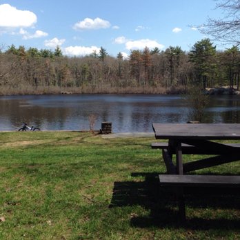 HAROLD PARKER STATE FOREST - Updated December 2025 - 75 Photos & 40 ...