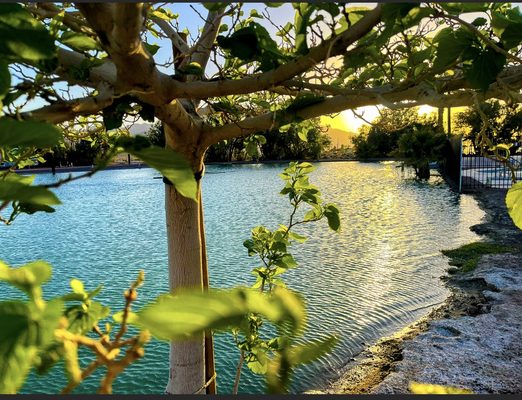 NEWBERRY MOUNTAIN RV PARK & MOTEL - Updated October 2025 - 37 Photos ...