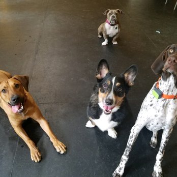 SOL DOG LODGE AND TRAINING CENTER - Updated December 2025 - 59 Photos ...