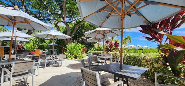 BAREFOOT BAR - Updated February 2025 - 130 Photos & 56 Reviews - 2055 ...