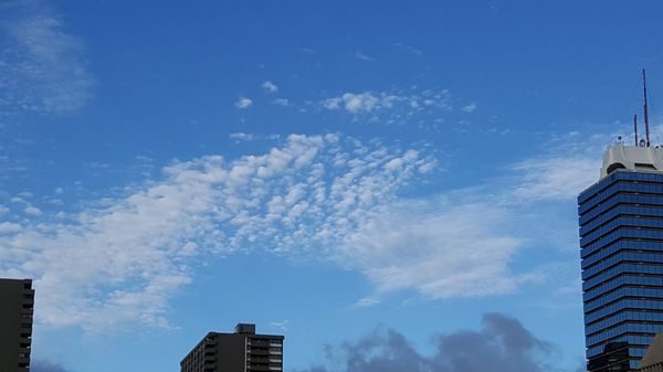 BORTHWICK MORTUARY - Updated December 2025 - 66 Photos & 56 Reviews ...