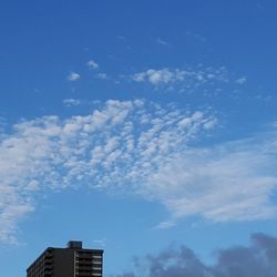 BORTHWICK MORTUARY - 64 Photos & 43 Reviews - 1330 Maunakea St ...