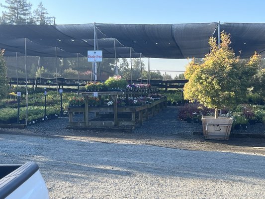 DEVIL MOUNTAIN WHOLESALE NURSERY - SAN RAMON - Updated December 2025 ...