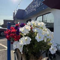 NUPA MEDITERRANEAN CUISINE - Updated December 2025 - 178 Photos & 417 ...