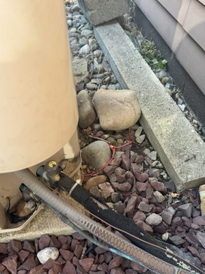 CALFO - Updated January 2026 - 66 Photos - 49 Reviews - 91 Terence Dr ...