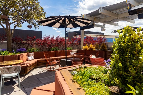 RARE BIRD - Updated June 2024 - 12 Photos - 245 Columbine St, Denver ...