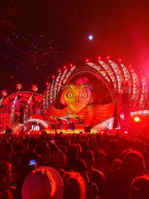 EDC ORLANDO - 150 Photos & 26 Reviews - 400 S Rio Grande Ave, Orlando ...