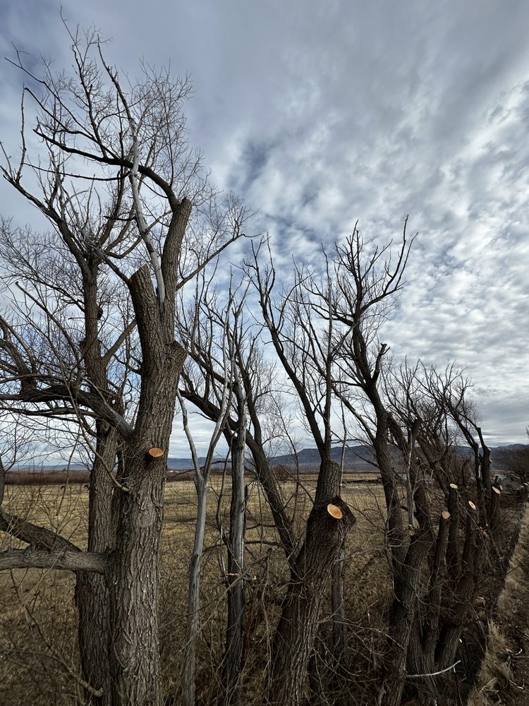 CALEB HOLLOWAY BAD AXE TREE CARE - Updated December 2025 - Request a ...