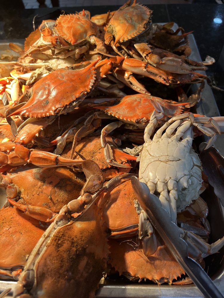 UNITED BUFFET - Updated December 2025 - 73 Photos & 75 Reviews - 2942 ...