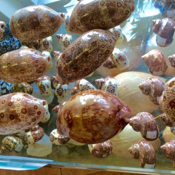 SHELL BAZAAR - Updated October 2025 - 29 Photos & 16 Reviews - 10100 S ...