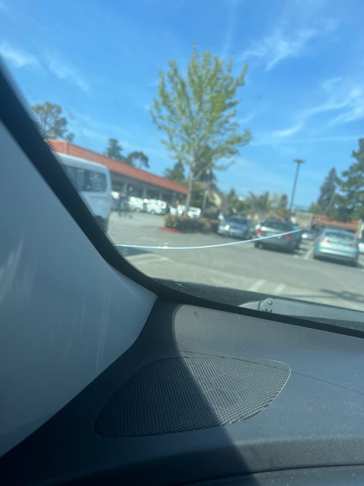 ACTION AUTO GLASS - Updated July 2025 - 11 Photos & 122 Reviews - 2701 ...