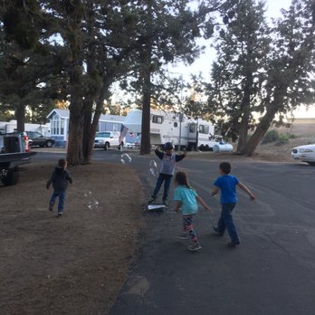 PINE TREE RV PARK - Updated October 2025 - 14 Photos & 24 Reviews ...