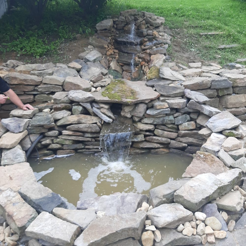 BIG TREE LANDSCAPING AND LAWN - 42 Photos - 802 Four Mile Run Rd ...