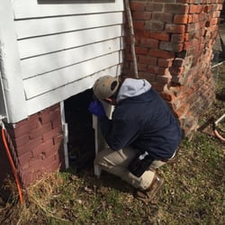 Best Mice Exterminator Near Me - December 2025: Find Nearby Mice ...