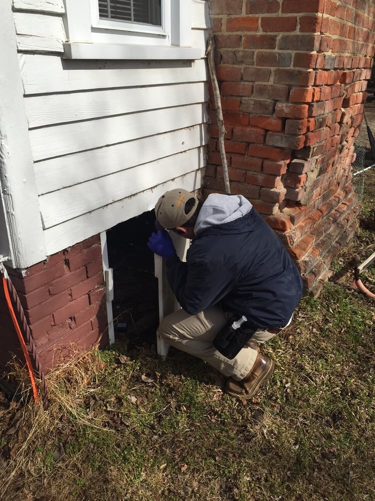 ECONOMY EXTERMINATORS - Updated January 2026 - 44 Photos & 60 Reviews ...