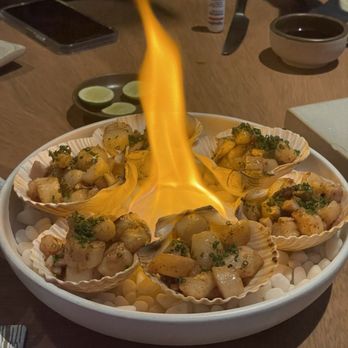 OSAKA - Updated November 2024 - 878 Photos & 277 Reviews - 1300 ...