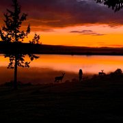 CALIFORNIA PINES LODGE - 15 Photos - Resorts - 750 Shasta View Dr ...