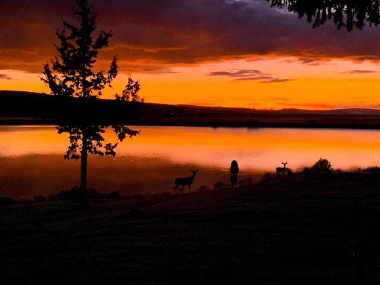 CALIFORNIA PINES LODGE - Updated December 2025 - 17 Photos - 750 Shasta ...