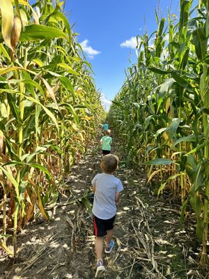 WALDVOGEL’S FARM MARKET - Updated June 2026 - 10 Photos & 15 Reviews ...