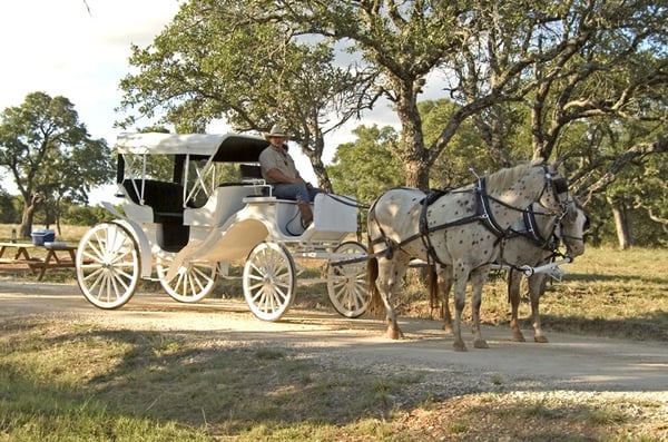 DALE RIVER RANCH - Updated July 2025 - 5343 Farm To Market 4, Palo ...