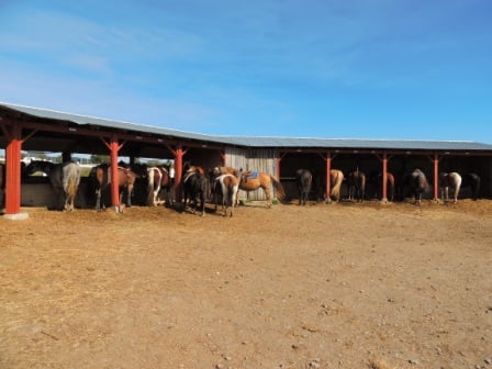 BROADLEAF GUEST RANCH - Updated December 2025 - 41 Photos - 5526 Route ...