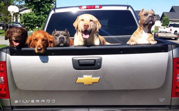 CMP CHEVROLET CADILLAC BUICK GMC - Updated December 2025 - 29 Photos ...