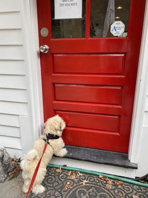 Cannondale Animal Clinic - Updated May 2026 - 16 Photos & 28 Reviews ...