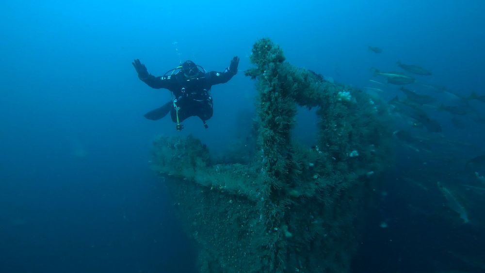 SCUBA SKOOL - Updated August 2024 - 17 Enterprise House 6 Enterprise ...