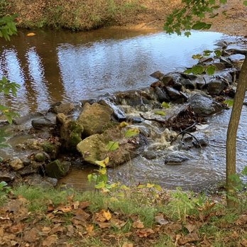 SNEADS FARM - Updated December 2025 - 91 Photos & 41 Reviews - 18294 ...