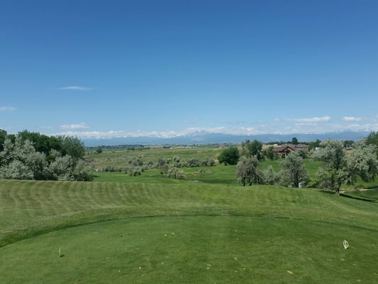 MAD RUSSIAN GOLF TEE TIME - Updated December 2025 - 16 Reviews - 24361 ...