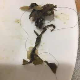 CHOW FUN EXPRESS - Updated July 2025 - 80 Photos & 63 Reviews - 148 W ...