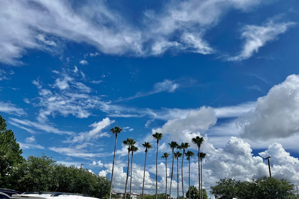 BRANDON EXCHANGE - Updated July 2024 - 148 Photos & 140 Reviews - 459 ...