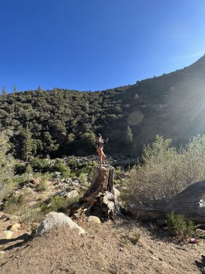 LIMESTONE CAMPGROUND - Updated November 2025 - 33 Photos & 16 Reviews ...