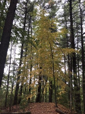 HAGGETTS POND - Updated December 2025 - 21 Photos - Haggett's Pond ...