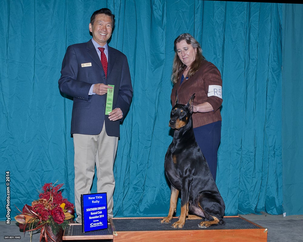 PATIENCE UNLIMITED - Updated November 2025 - 64 Photos - 2605 W ...