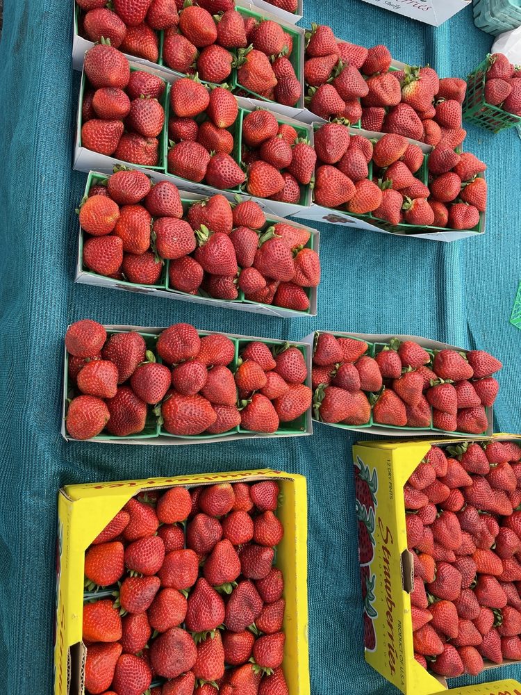 THE COLLECTION FARMERS MARKET - Updated May 2025 - 2751 Park View Ct ...