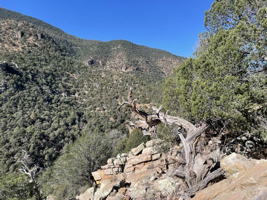 RAMSEY CANYON PRESERVE - Updated August 2025 - 60 Photos & 18 Reviews ...