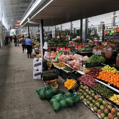 HOUSTON FARMERS MARKET - 287 Photos & 39 Reviews - 2520 Airline Dr ...