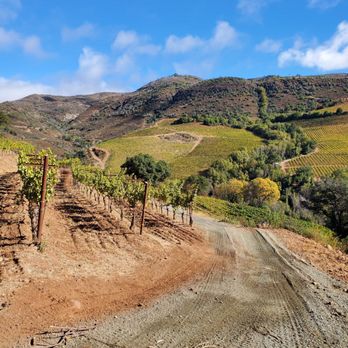 REPRIS WINES - Updated November 2024 - 154 Photos & 81 Reviews - 1700 ...