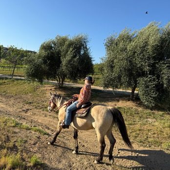 CALIFORNIA RANCH COMPANY - Updated December 2025 - 261 Photos & 39 ...