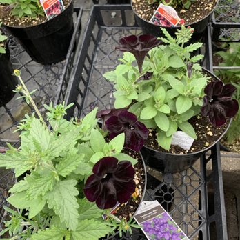 RIGHTWAY GARDEN CENTER - Updated October 2025 - 36 Photos & 12 Reviews ...