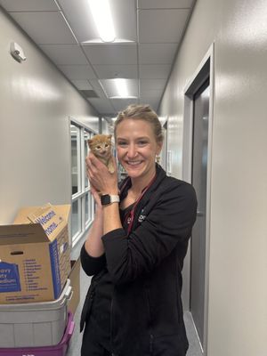 CASCADE VETERINARY CLINICS - Updated January 2026 - 101 4th St SE, East ...