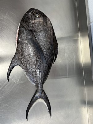 LIBERTY FISH MARKET - Updated June 2026 - 25 Photos & 19 Reviews - 187 ...