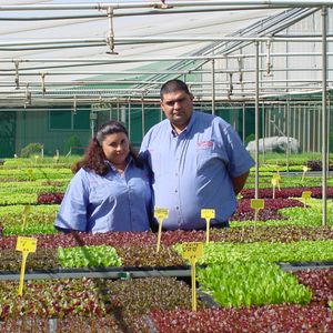 FLOWER POWER GARDEN CENTRE TAREN POINT - Updated February 2025 - Taren ...