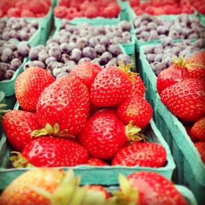 UNGER FARMS - Updated December 2025 - 86 Photos & 22 Reviews - 34180 SW ...