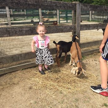 PARKY’S FARM - Updated December 2025 - 20 Photos - 10037 Daly Rd ...