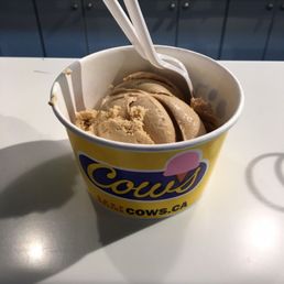 COWS - Updated June 2025 - 308 Photos & 195 Reviews - 138 Banff Avenue ...