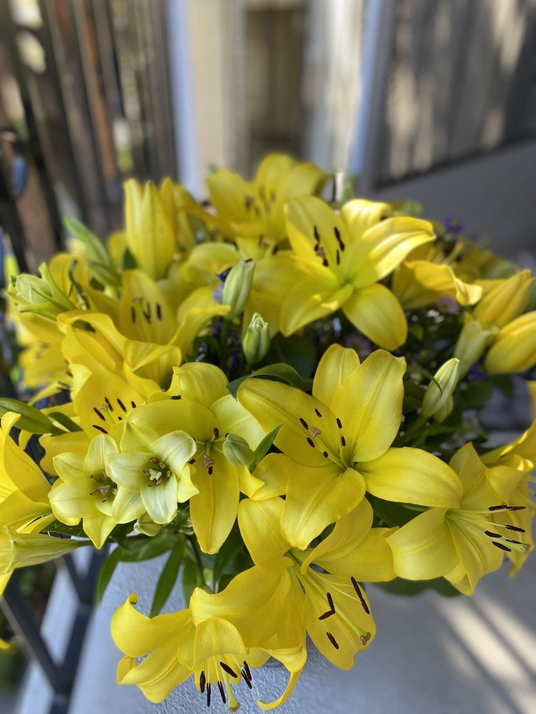 THE VALLEY FLORIST - Updated August 2025 - 61 Photos - 10540 Victory ...