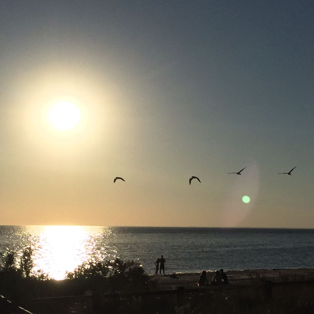 ASPENDALE BEACH - Updated June 2025 - Aspendale Victoria, Australia ...